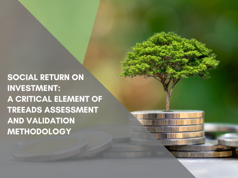 Social Return on Investment: A Critical Element of TREEADS Assessment ...