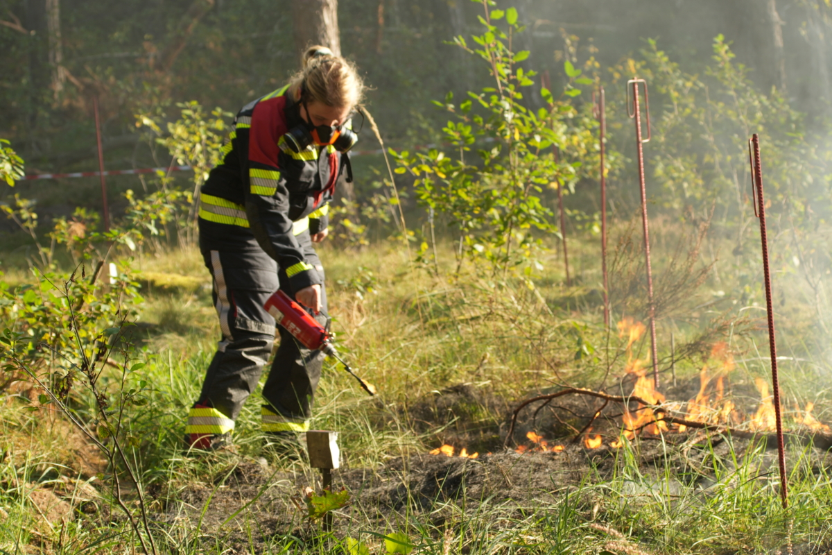 German Pilot – Fire Science of Wildfires and Safety Measures - TREEADS ...